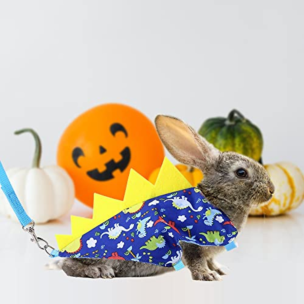 Filhome Adjustable Halloween Bunny Dinosaur Harness,Soft Rabbit Vest Harness and Leash Set for Halloween Dress Up Party Cosplay Rabbit Ferret Bunny Guinea Pig Small Animal Walking (Blue Dinosaur/M)
