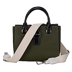 Allzedream Purse Straps Replacement Crossbody Bags Handbag Wide Canvas Leather Adjustable (Apricot, Silver hardware)