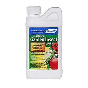 Monterey Garden Insect Spray Pint