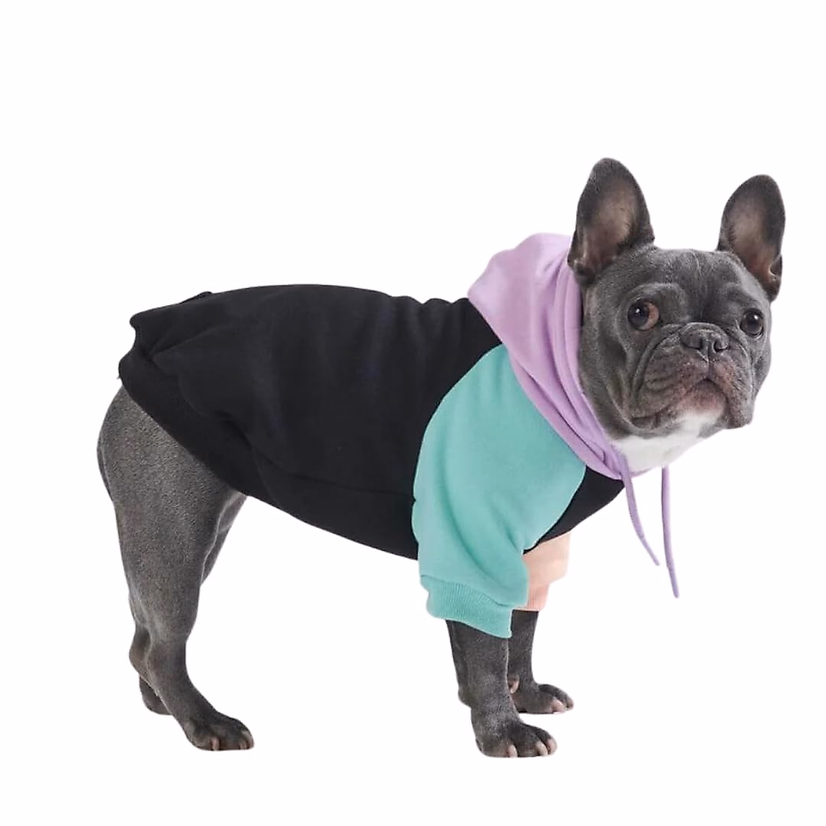 Spark Paws Dog Hoodie - Premium Quality, Buttery Soft, Superior Comfort and Fit, Calming Fleece Interior, Suitable for All Breeds - Cyber Punk - L