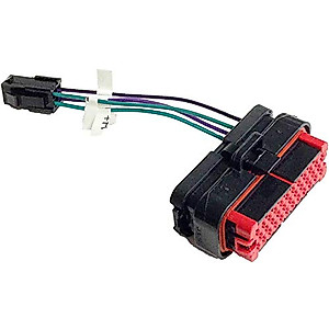 Hogtunes Rear Speaker Plug Output for Advance Audio