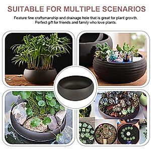 Zerodeko Small Terrarium Purple Sand Succulent Flower Pot Pet Decorations Purple