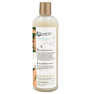 Curl Rehab Dry Hair/Damage Repair Treatment 2 in 1 Shampoo Conditioner (3 Pack), Enriched with Coconut Milk & Avocado, 16 Oz