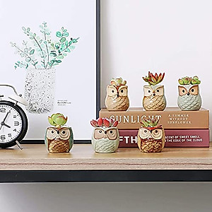 T4U 2.5 Inch Owl Ceramic Succulent Planter Pots with Drainage Hole Set of 12, Flowing Glaze Porcelain Handicraft Plant Holder Container Gift for Mom Sister Aunt Best for Home Office Garden Decoration