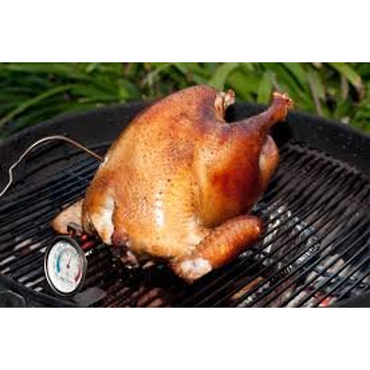 Artisan Griller BBQ Insulated Heat Resistant Cooking Gloves for Grill and Kitchen, Black (Size 10 - 12")