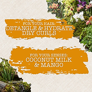 Maui Moisture Hair, Nourish & Moisture + Coconut Milk, Combing Cream for Dry Curly Hair, Silicone & Sulfate-Free Aloe Leave-In Conditioner Treatment to Detangle Hair, 8 Fl Oz (4067538)