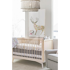 Oilo Baby Blanket, Luxury Soft Plush Backing & 100% Turkish Cotton Jersey Print, Double Layered, 30" x 40", Rolled Jersey Edge Trim, Machine Washable, Infant Blanket, Toddler Blanket, Woodland Fawn