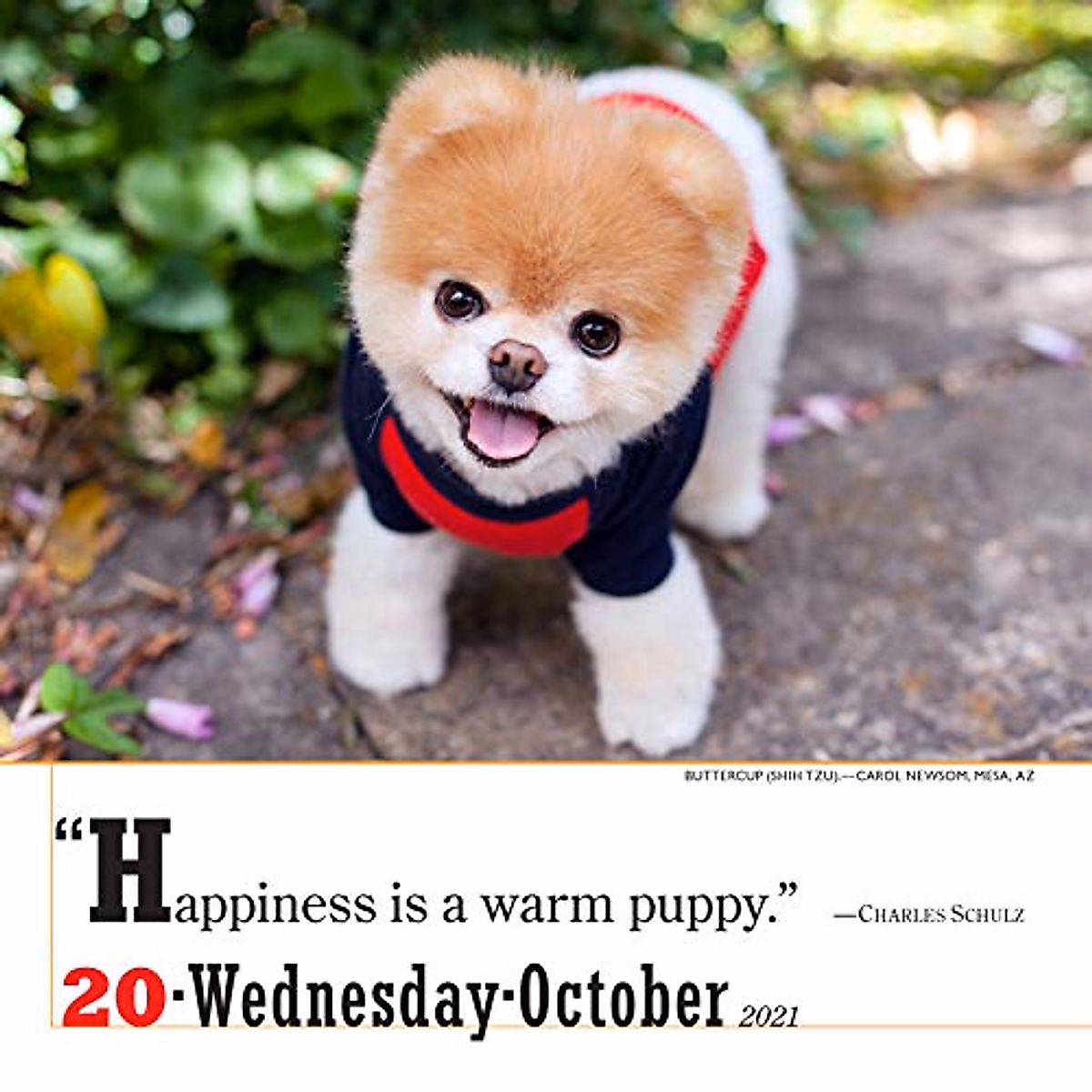 365 Dogs Page-A-Day Calendar 2021
