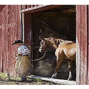 AOLAMIGOD Wall Mount Horse Tie Ring, Cross Tie Rings for Horses, 2 inch Tie Ring Plate Zinc Plated 2 Pack