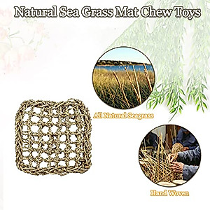 Bird Seagrass Mat Parrot Natural Seagrass Woven Net Parakeet Climbing Rope Chew Toys Hideout Shed Sheltering for Lovebird Cockatiel Conure Budgie