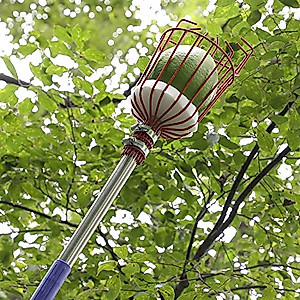 FLY HAWK Fruit Picker Tool,10 FT Long Fruit Picker Equipped with Optional Splicing of Lightweight Stainless Steel to Pick Apples, Oranges and Fruit Trees (10 FT)