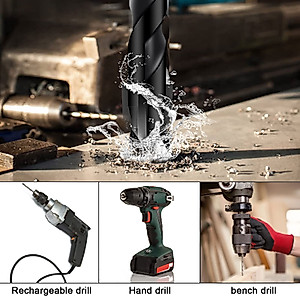 Toega Hex-Shank Drill Bits - Carbide Drill Bits with Case(12-Pack), Diamond Drill Bits, Metric Drill Bit Set for Steel Copper Aluminum Zinc Alloy Cast Iron Sheet Metal Wood Plastic