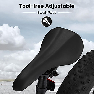 Elecony Ecarpat 20/24/26 Inch Fat Tire Mountain Bikes 7-Speed with Mechanical Disc Brakes Front Suspension, Mens Womens All Terrain Mountain Winter Snow Beach Bicycles