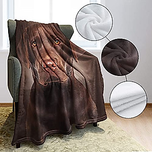 HommomH Chocolate Lab Blanket, Brown Labrador Dog Print, Soft Fluffy Fleece Throw, 50"x60"