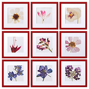 eletecpro 12x12 Colorful Picture Frames 9 Pack, Matted to 8x8 Photos, Stylish Gallery Wall Frame Set for Wall Hanging, Vibrant Square Red Frames for Modern Room Decor, Chic Christmas Gift