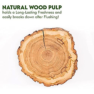 WBM Care Unscented Baby Wipes | 6 Flip-Top Packs (288 Total Wipes) | Gentle and safe for your baby’s sensitive skin | Perfect for quick and convenient cleaning