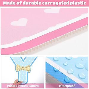 Chinco 10 Pieces Gender Reveal Party Decorations Supplies Baby Shower Plastic Yard Signs Outdoor Letters Lawn with Stakes for Indoor Garden (Boy or Girl)