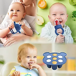 Baby Fruit Feeder Pacifier - 3 Pack | 1 Baby Food Feeder & 1 Baby Teether & 1 Baby Popsicle Molds | Breastmilk Popsicle molds | Teething Toys | Mesh Baby Feeder | Baby Feeding Set | Bebes (Steel Blue)