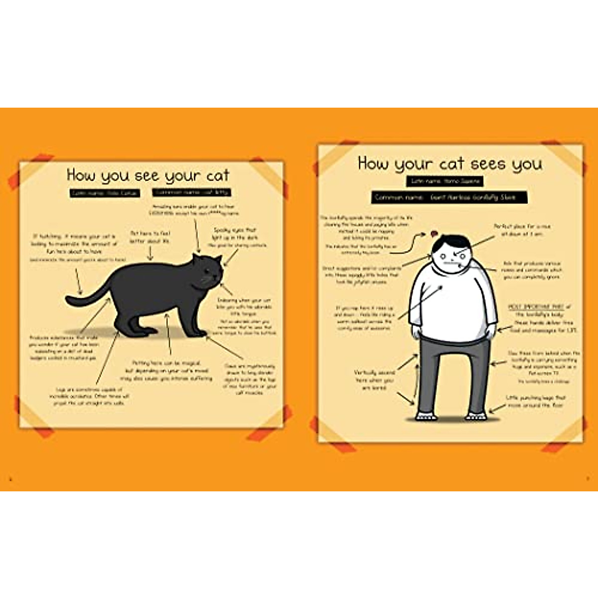 How to Tell If Your Cat Is Plotting to Kill You (The Oatmeal) (Volume 2)