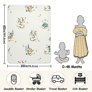 Swaddle Blanket Dragon Baby Cotton Blanket for Infants, Receiving Blanket, Lightweight Soft Swaddling Blanket for Crib, Stroller, Nursery Blankets, Fairytale, 30x40 in