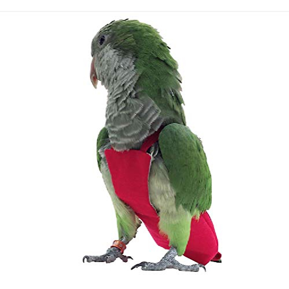 HEZHUO Parrot Diaper Bird Flight Suit, Bird Clothes, Waterproof Lining Pet Bird Supplies (L, Red)