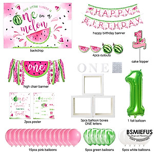 One in A Melon Party Decorations, Watermelon First Birthday Party Supplies, Watermelon Birthday Party Supplies, One in a Melon Backdrop High Chair Banner, Baby 1st Birthday Balloon Boxes for Girl 1st Birthday Party