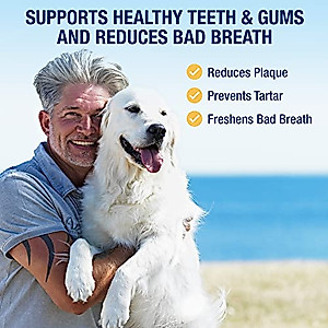 ProDen PlaqueOff Powder for Pets - Cat & Dog Breath Freshener - Plaque & Tartar Remover for Pet Oral Care - Supports Healthy Mouth for Dogs - 60g