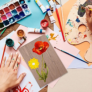 6PCS Wood Veneer Sheet Walnut Plywood Sheets, 16.5 x 11.8 Inch Walnut Wood 3MM/1/8Inch Thin Unfinished Wood Veneer Sheet for Laser Cutting, Painting, Crafts