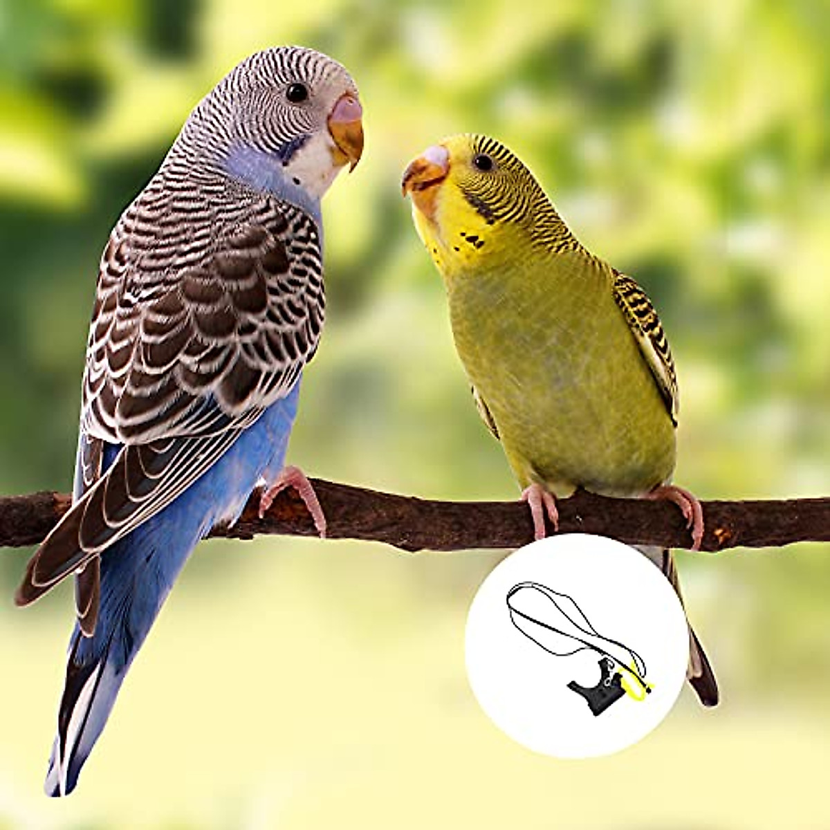 Scicalife Bird Harness Bird Leash Supplies Adjustable Training Design Bird Nylon RopeLeash