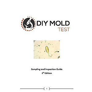 DIY Mold Test, Mold Test Kit for Home (2 tests). Lab Analysis and Expert Consultation included