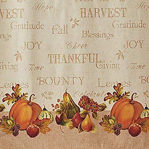 SKL Home Harvest Bounty Shower Curtain, Natural
