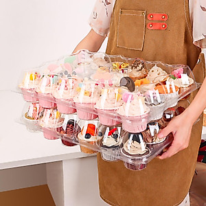 Moretoes (12 Pack x 24 Sets Cupcake Containers, Cupcake Boxes with 300 Cupcake Liners, 24 Compartment Cupcake Carrier Holders, Plastic Cupcake Containers with Detachable Lid