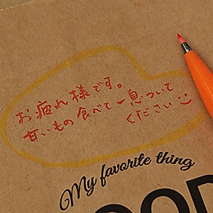 Pentel SES15C-12 Autograph Pen, Brush Touch, Set of 12 Colors