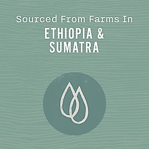 Allegro Coffee Mocha Java Whole Bean Coffee, 12 oz