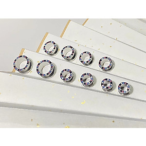 Rainbow CZ Stainless Steel Ear Tunnels and Plugs Personalized Crystal Screw Fit Double Flared Ear Gauges Expander Stretching Tunnels Earlobe Plugs Body Piercing Jewelry for Men Women Boys Teen Girls (00g(10mm))