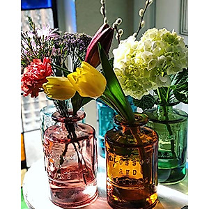 Time Concept Valencia 100% Recycled Glass Jar - Siete, Green - Handcrafted Flower Vase, Home Centerpiece Décor