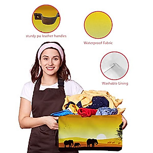 Storage Cubes Organizer with Handles, The Sunset Landscape of Elephant Giraffe Animal Storage Bins Fabric Collapsible Storage Baskets for Shelf Closet Nursery Cloth Organizers Box 2pcs-15x11x9.5in