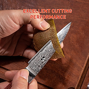 FUJUNI Damascus Paring Knife 3.5-inch Fruit and Vegetable Paring Knife 67-Layer Damascus with VG10 Cutting Core Peeling Knife with Full Tang Ergonomic Natural Wood Handle for Peeling