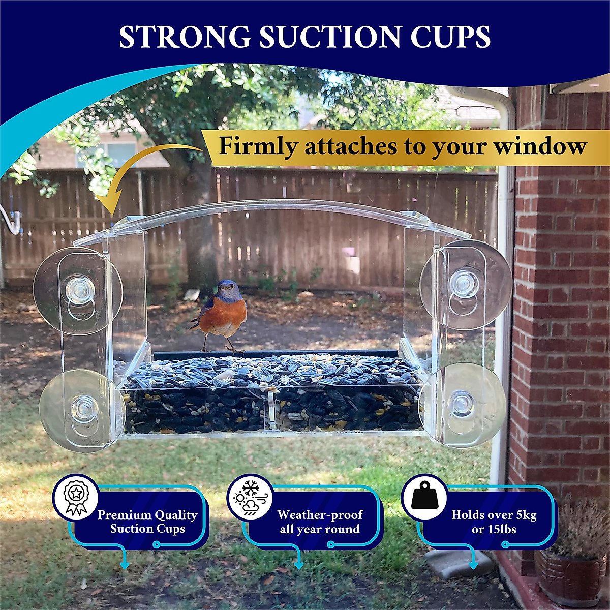 GoGiffy (2-Pack) Acrylic Window Bird House Feeders for Outside Viewing | Large Capacity with 4 Strong Suction Cups | Removable Seed Tray with Drain Holes | Easy to Refill & Clean | Squirrel Chew Proof