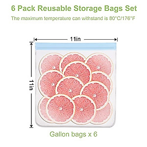 Ingeware Reusable Freezer Bags, 6 Pack Gallon Flat Reusable Freezer Bags Leakproof Resealable Freezer Bags for Meat Fruit Veggies Nuts (Blue)