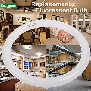 COOGGALAN FC12T9/DX 32W 12 inch T9 Circular Light Bulb Daylight, Round Fluorescent Circline Bulbs FC12 T9 32 Watts Kitchen and Bath, G10q 4 Pin Prong, 6500K, 2 Pack