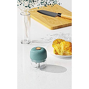 DmofwHi Electric Garlic Chopper,Cordless Mini Chopper With USB Rechargeable,304 Stainless Steel Blade,250ml Portable Electric Mini Food Chopper for Garlic,Ginger,Onion,Meat-Blue