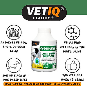 VetIQ Green-Um Dog Urine Neutraliser, 100 Tablets, Urine Neutraliser Lawn Burn Solution, Puppy Essentials Controls Nitrogen in Urine to Prevent Lawn Yellow Spots, Wee Neutraliser for All Breeds/Sizes