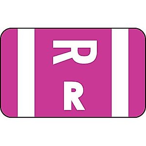 AMZfiling Alphabetic Color Code Labels, Compatible with Smead ACCS- Letter R, Purple (250/Roll)