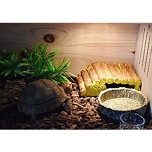 OMEM Reptile Natural Bowl Food and Water Dish Resin Made (Tree bark)