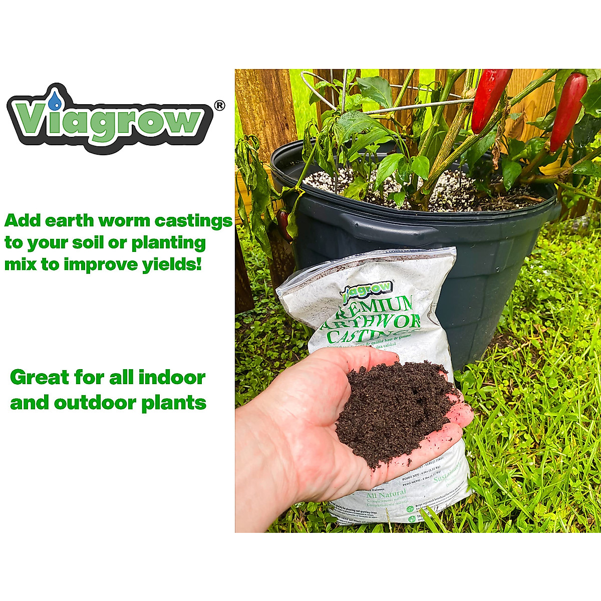Viagrow Premium Earthworm Castings, Soil Builder, Soil Amendment (1, 1 LB)