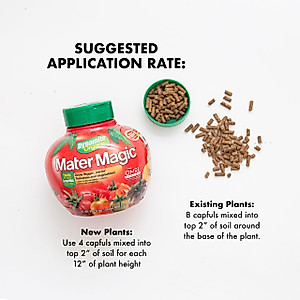 Dynamite Mater Magic - Organic Tomato Fertilizer for Bigger, Juicier Tomatoes and Vegetables, OMRI Listed, Nitrogen and Calcium-Rich Plant Food - .675 Pound Container with Shaker Lid