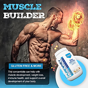 Pure Label Nutrition Vanilla Whey Protein Concentrate, Pre Workout Protein Powder with Essential Amino Acids, 100% Grass Fed, for Post Workout Recovery & Muscle Building, Low Carb - 2lbs