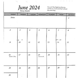 2 Year 2024 2025 Bling Glitter Pocket Calendar Planner with Note Pad (Dolphin)