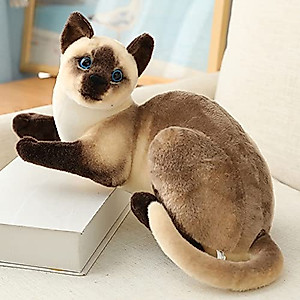 GUDVES Siamese Cat Stuffed Animal, Shorthair Cat Realistic Plush Cat Stuffed Toys, Gift for Kids 12inches (A)